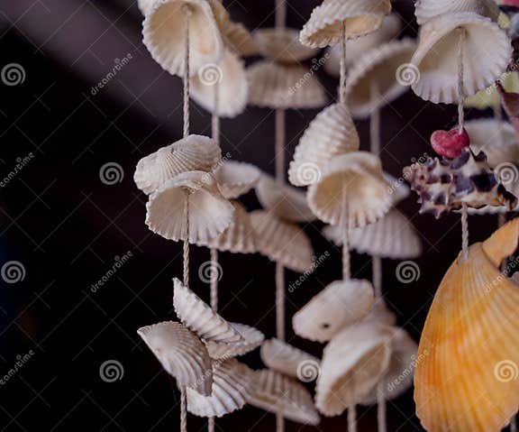 Wall Decorated with Scallop Shells in a Row Stock Photo - Image of ...
