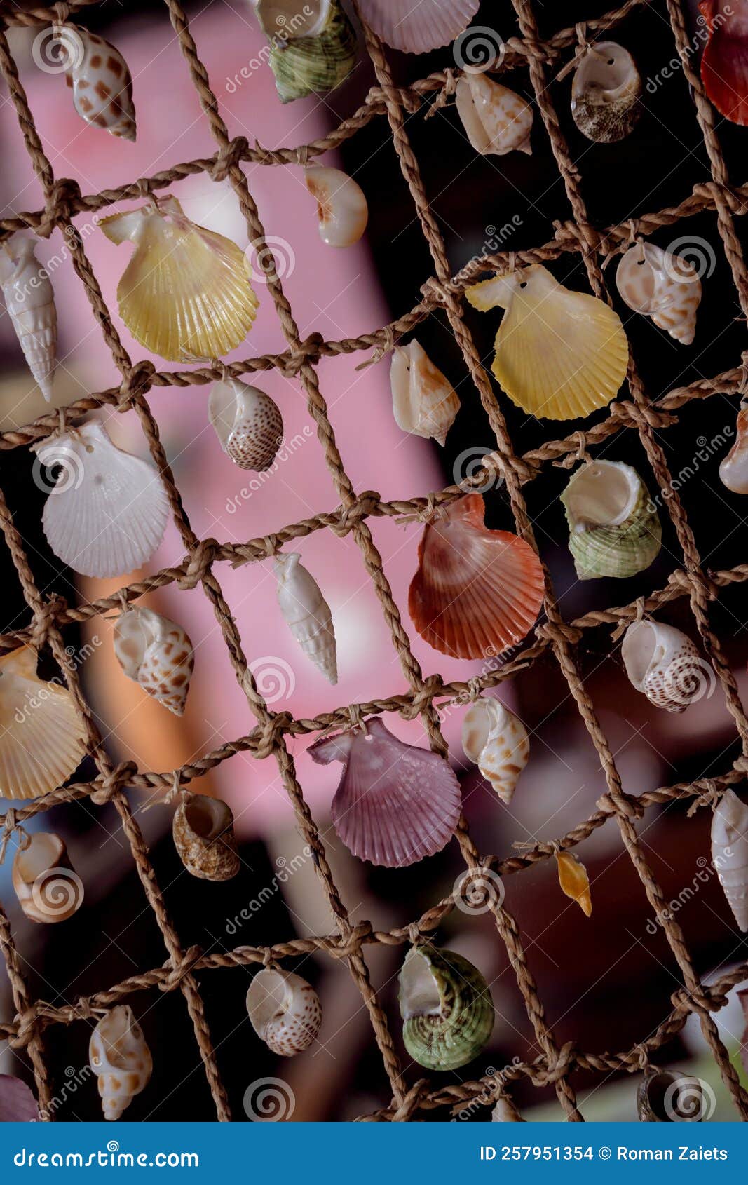 Wall Decorated with Scallop Shells in a Row Stock Photo - Image of ...