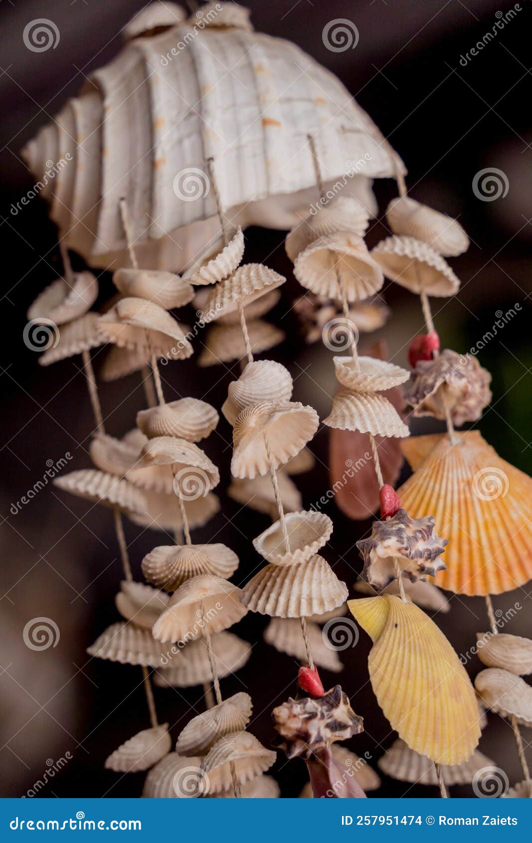 Wall Decorated with Scallop Shells in a Row Stock Photo - Image of ...