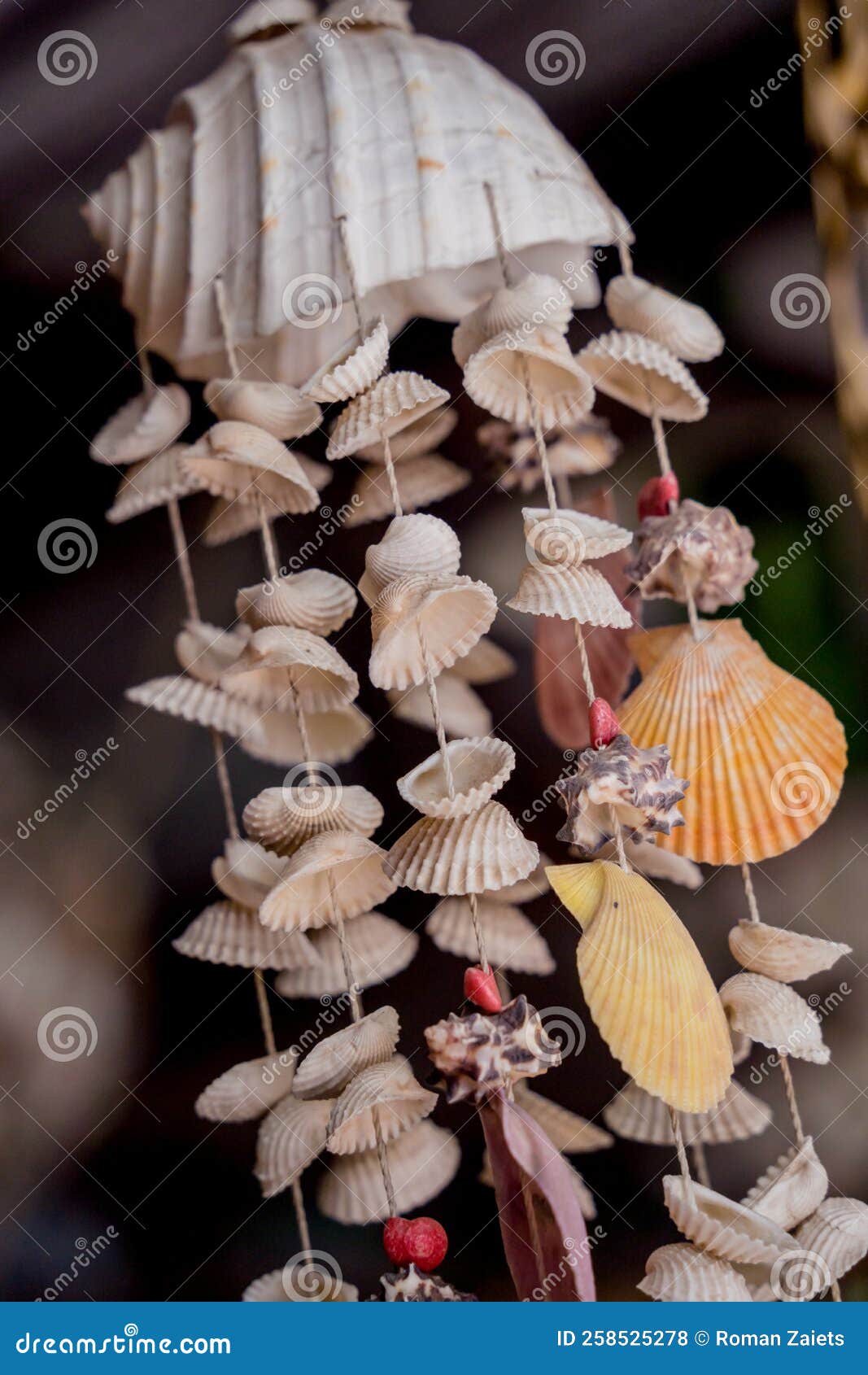 Wall Decorated with Scallop Shells in a Row Stock Photo - Image of ...