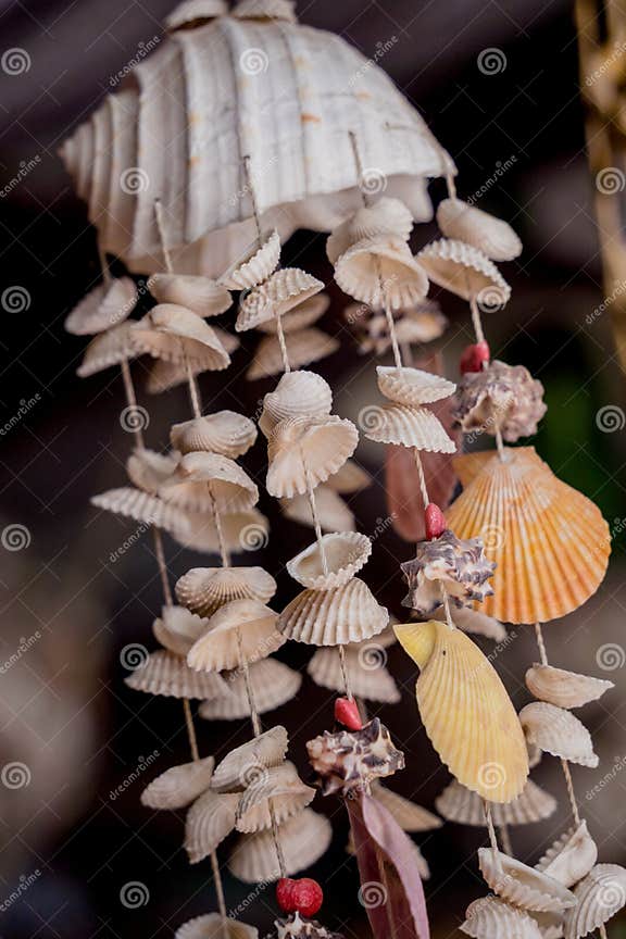 Wall Decorated with Scallop Shells in a Row Stock Photo - Image of ...