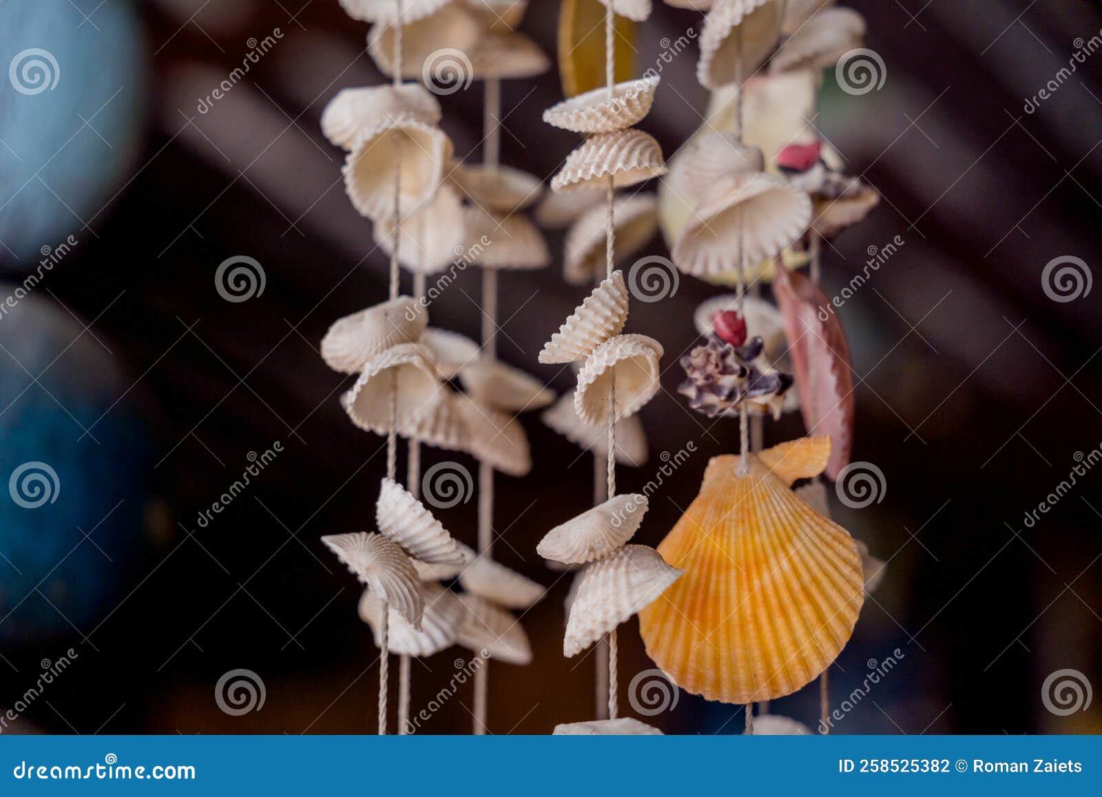 Wall Decorated with Scallop Shells in a Row Stock Photo - Image of ...