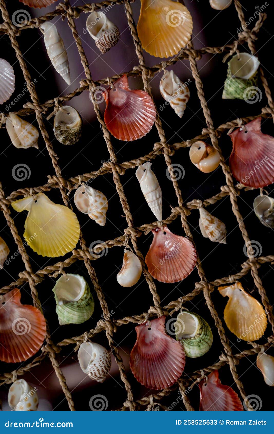 Wall Decorated with Scallop Shells in a Row Stock Image - Image of wall ...