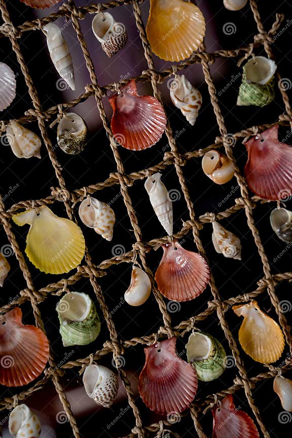Wall Decorated with Scallop Shells in a Row Stock Image - Image of wall ...