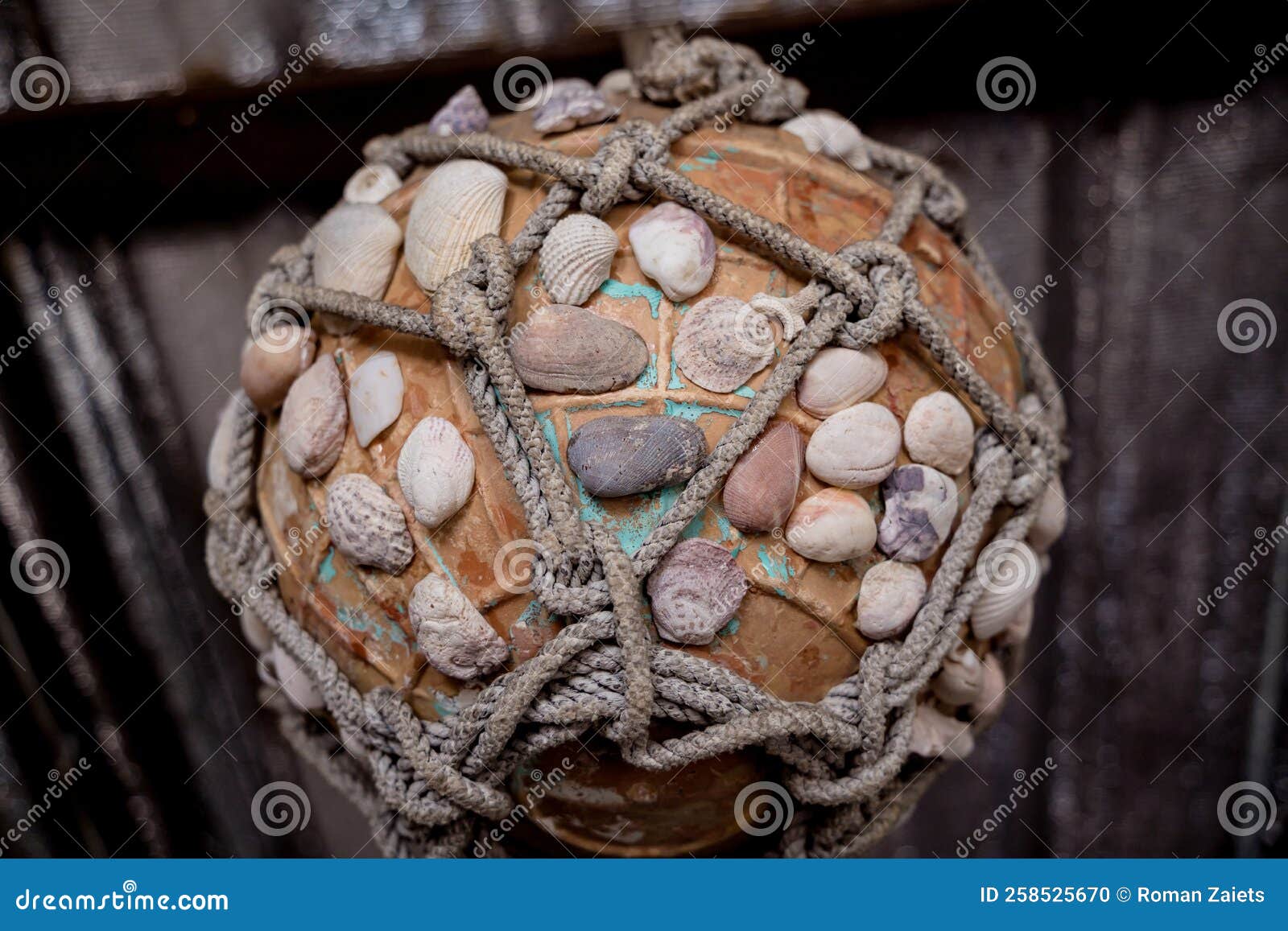 Wall Decorated with Scallop Shells in a Row Stock Photo - Image of ...