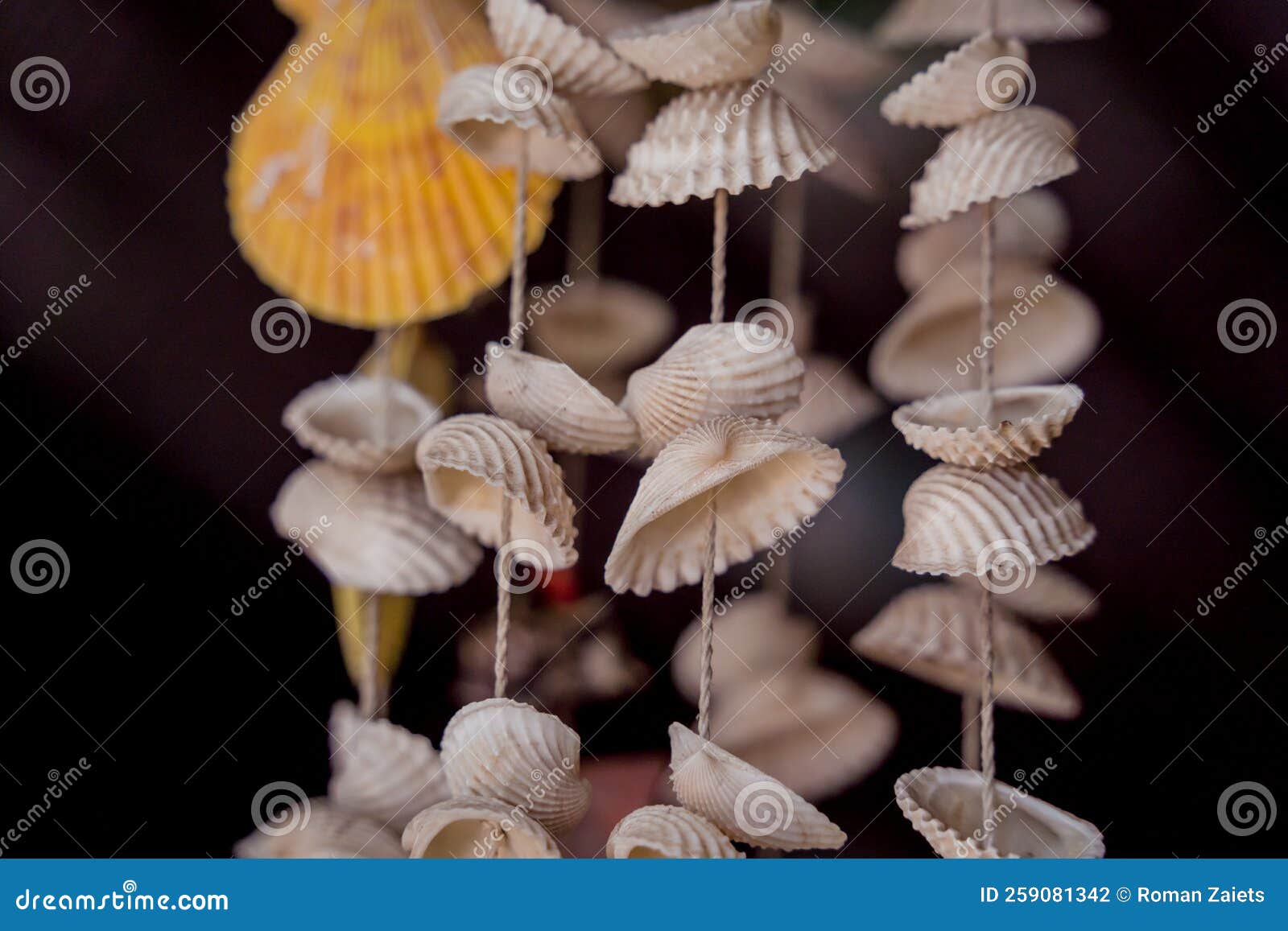 Wall Decorated with Scallop Shells in a Row Stock Photo - Image of ...