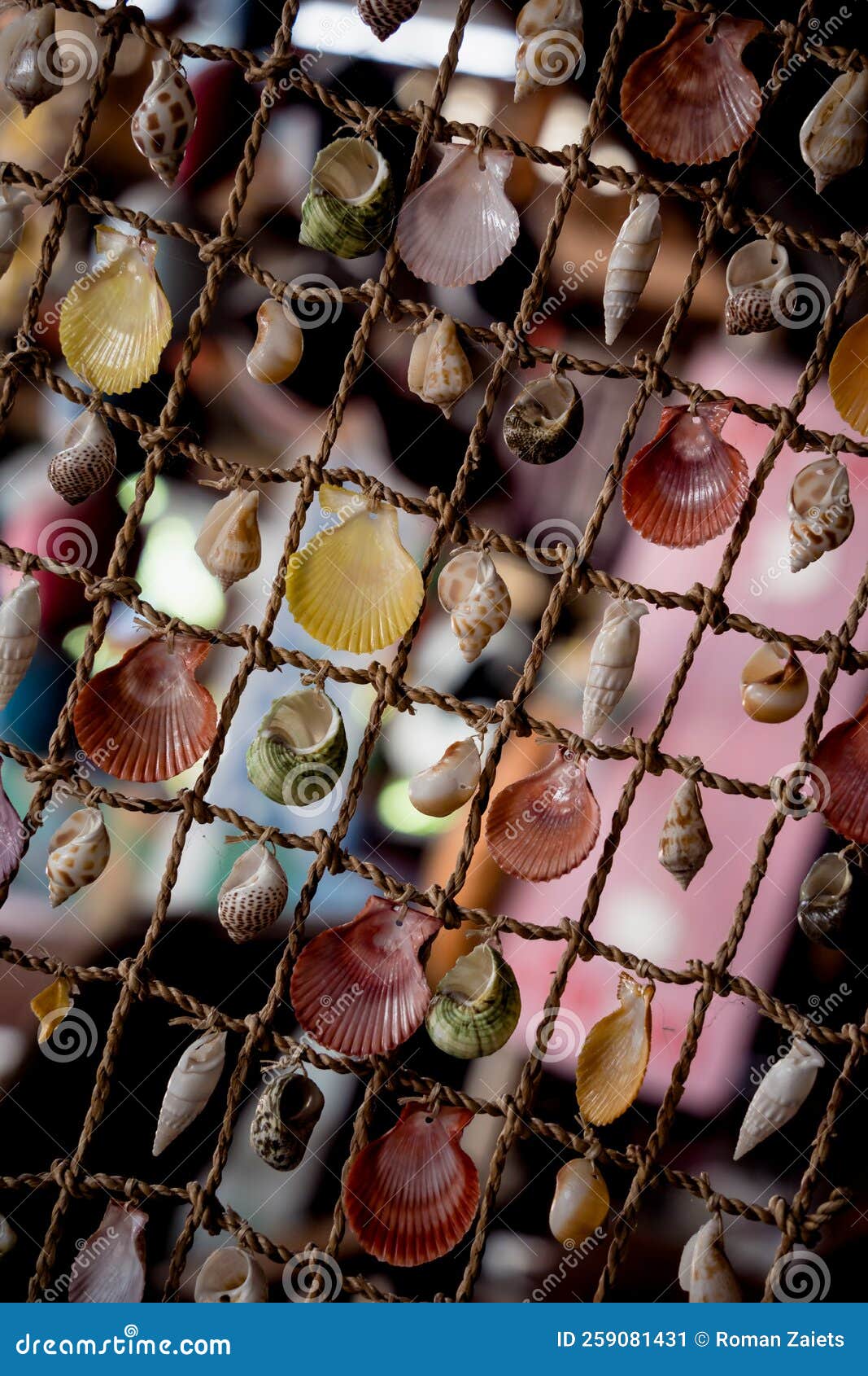 Wall Decorated with Scallop Shells in a Row Stock Image - Image of ...