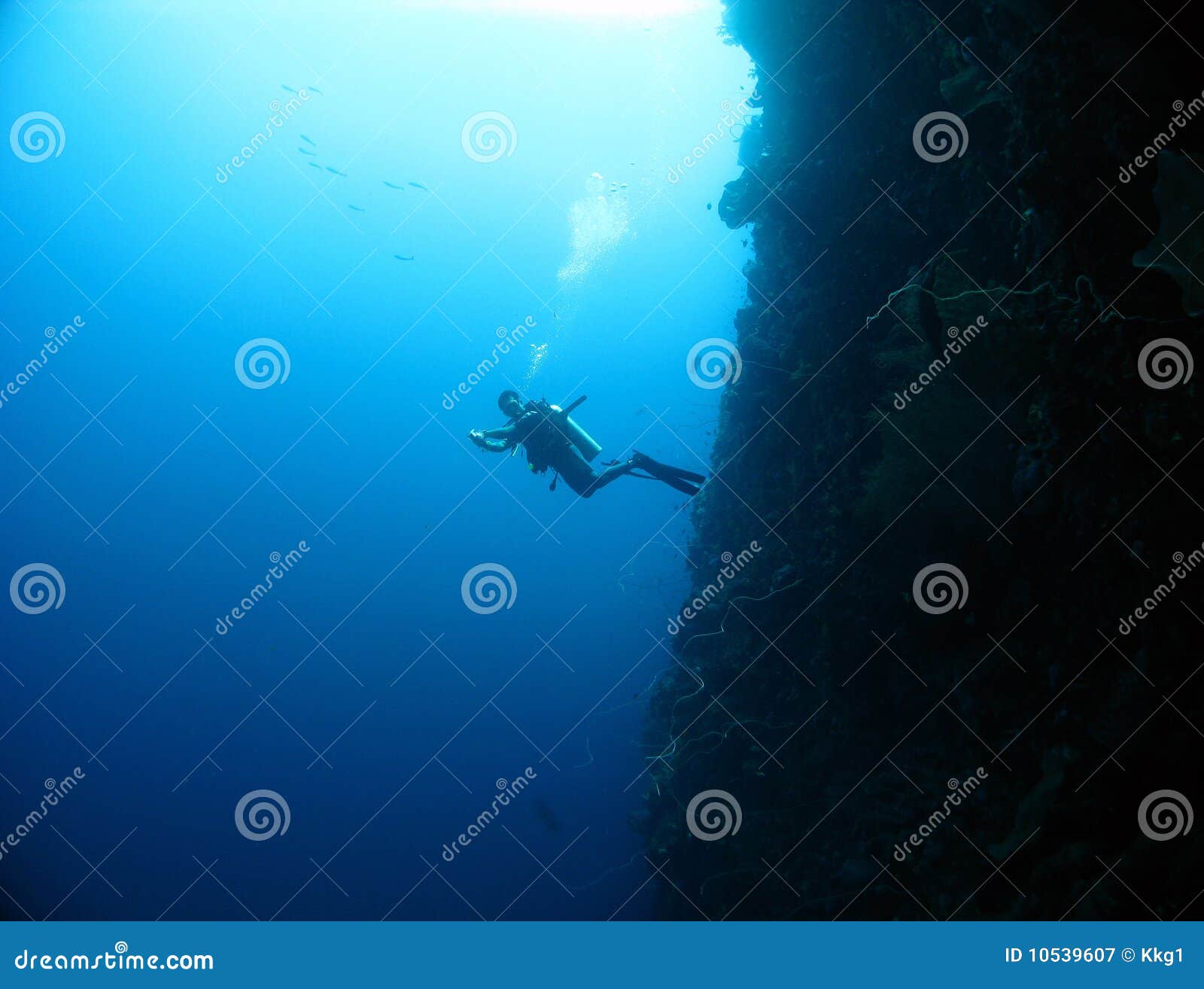 Wall diving stock image. Image of boat, diving, advanced - 10539607