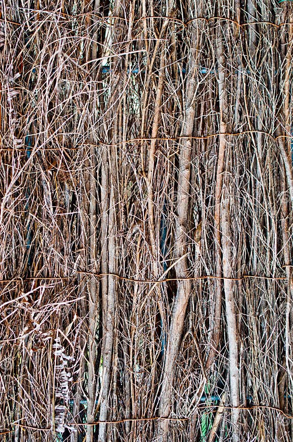 Wall or floor wattle woven stock photo. Image of fence - 83350760