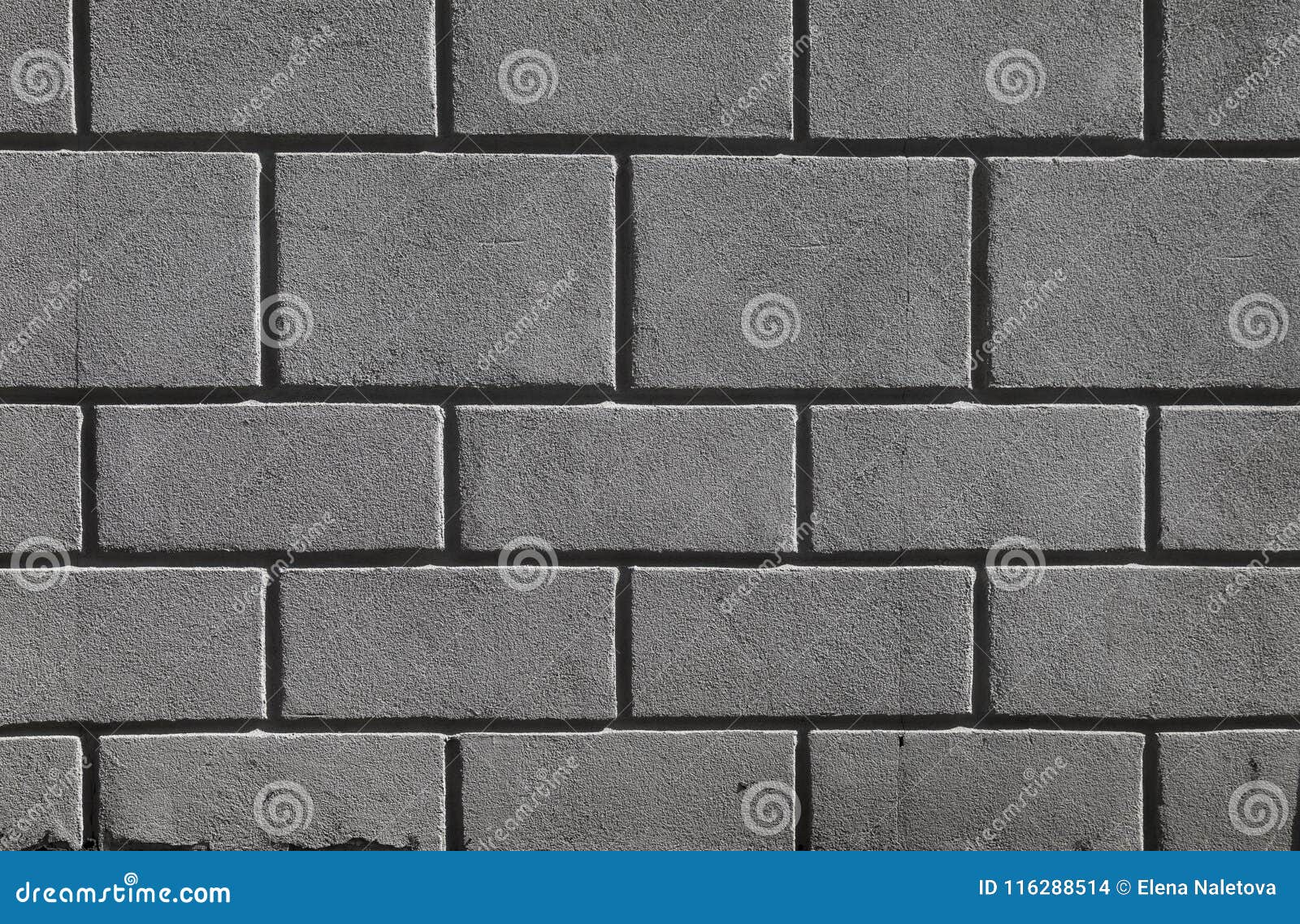 Grey Wall and Floor Which is Laid Out by a Regular Concrete Square Tile ...