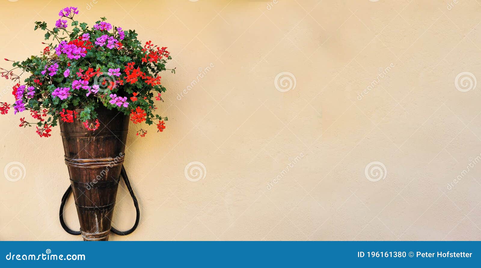 Wall with Flower Pot for Background Use with Copy Space Stock Photo ...