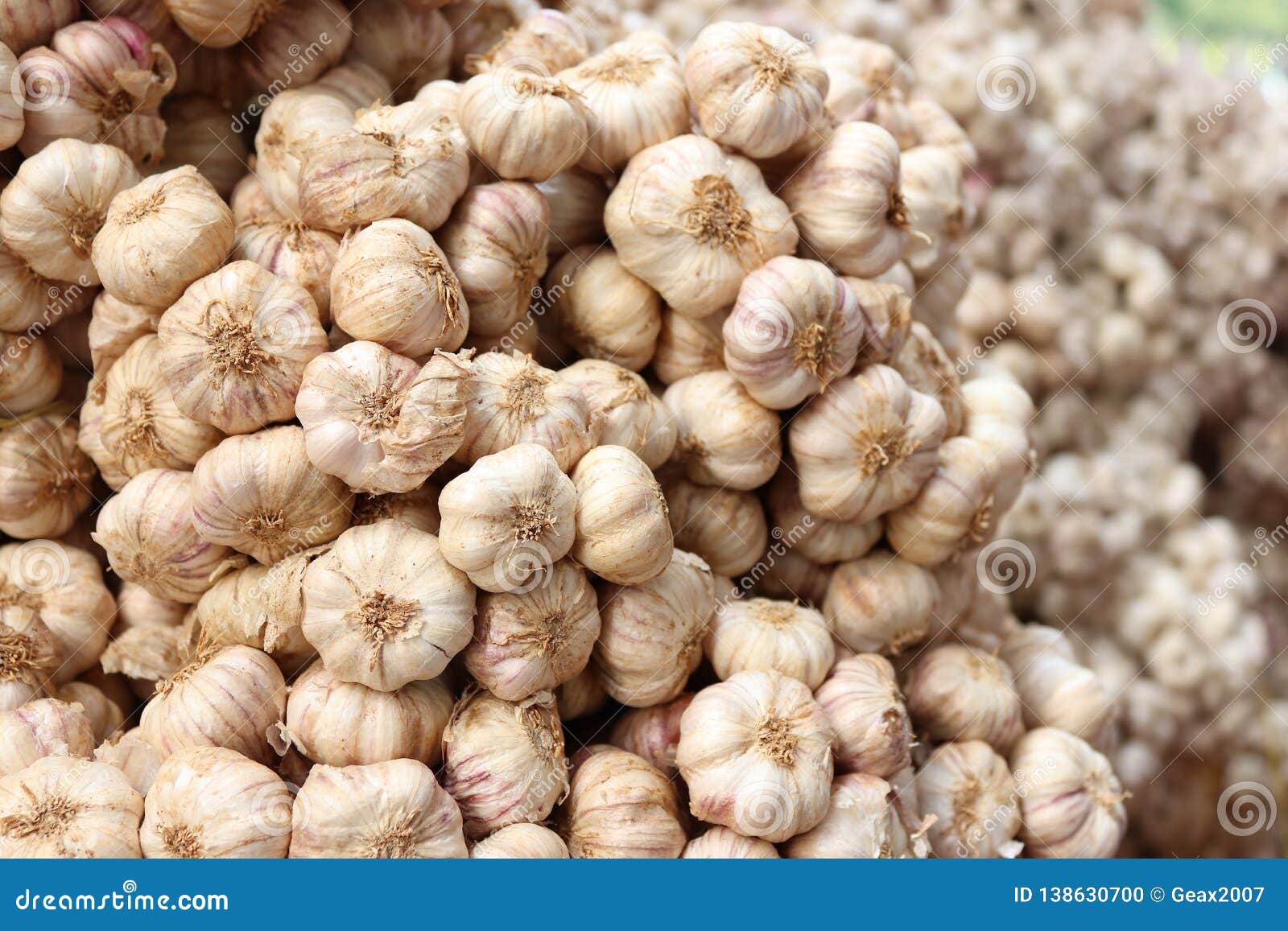 Garlic stacks stock photo. Image of wall, vegetable - 138630700