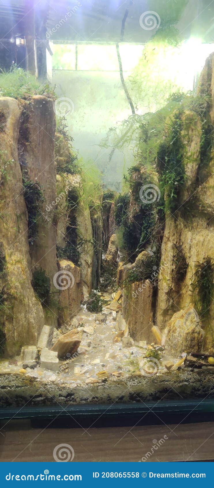 Wall geology tree terrain stock photo. Image of tree - 208065558