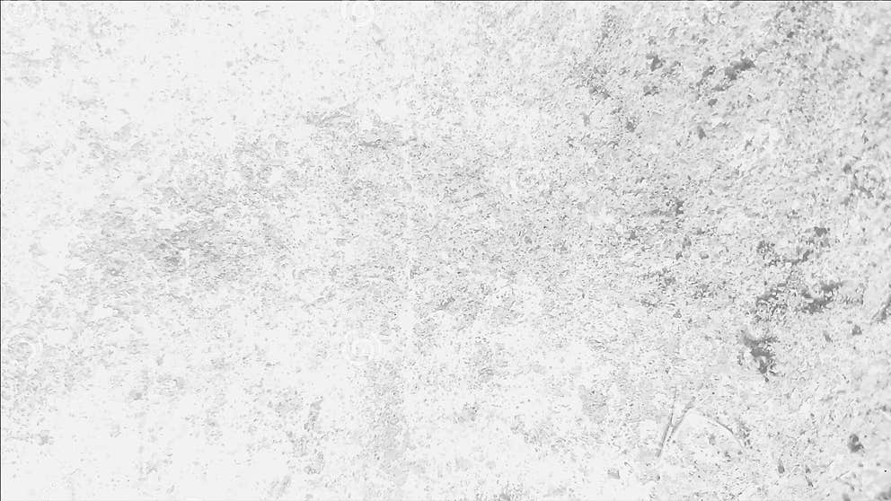 Wall Grainy Texture Background Vector Cement Concrete Texture Stock ...