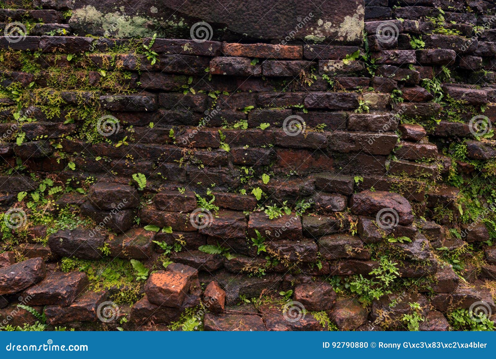 Wall with gras stock photo. Image of pattern, detail - 92790880