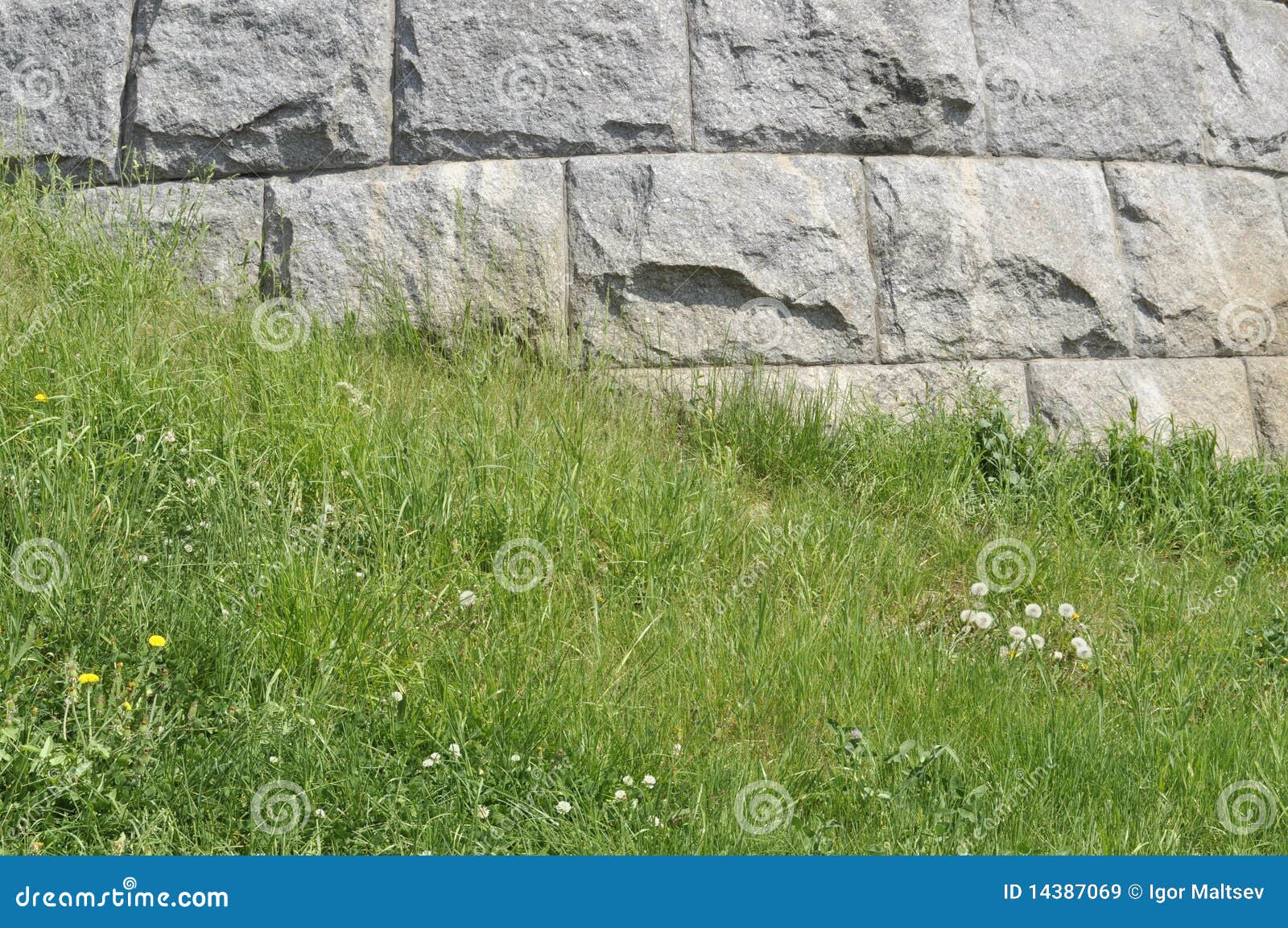Wall and grass stock image. Image of background, hard - 14387069