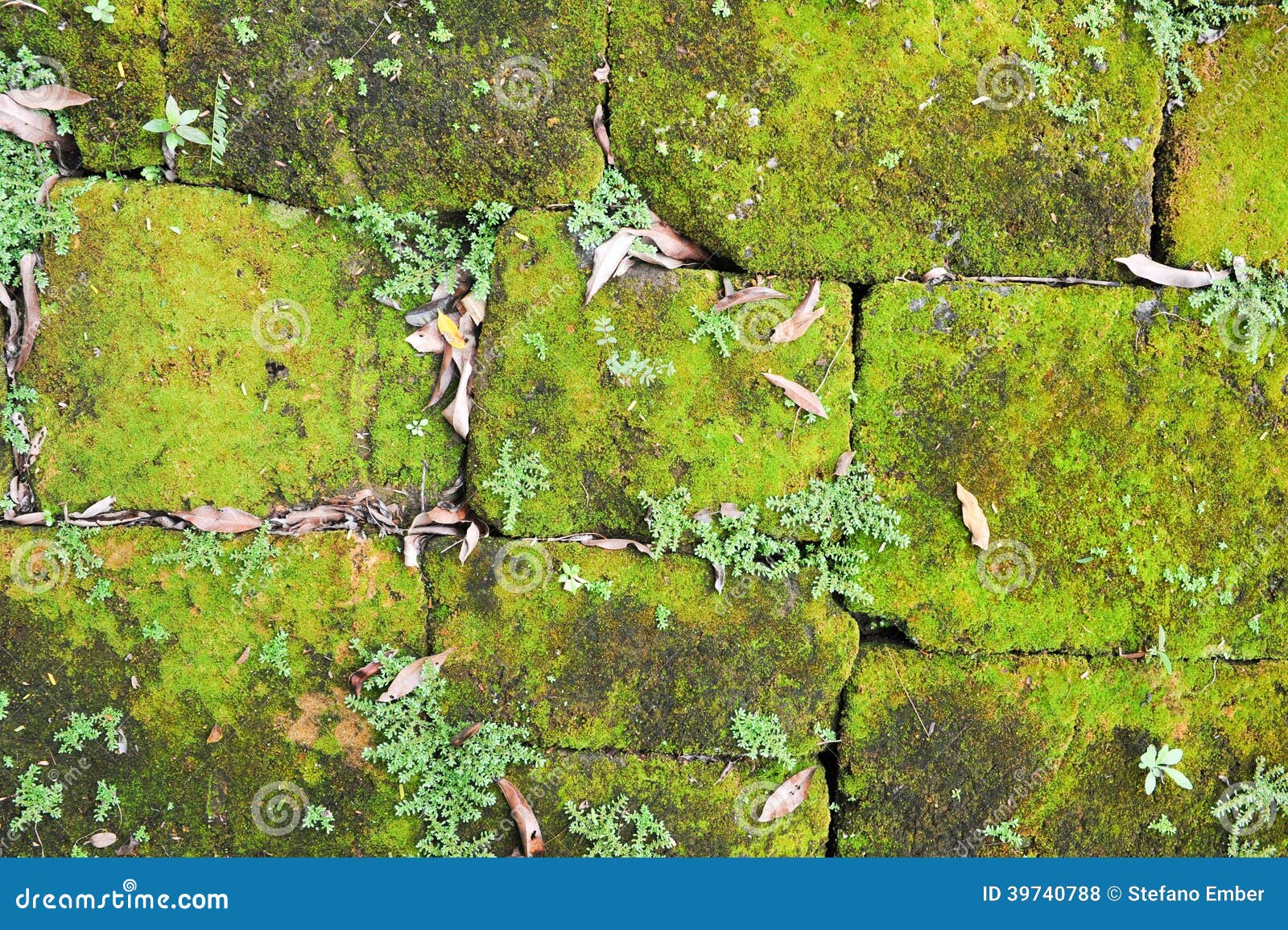 Wall with Grass for Background Stock Photo - Image of pieces, nature ...