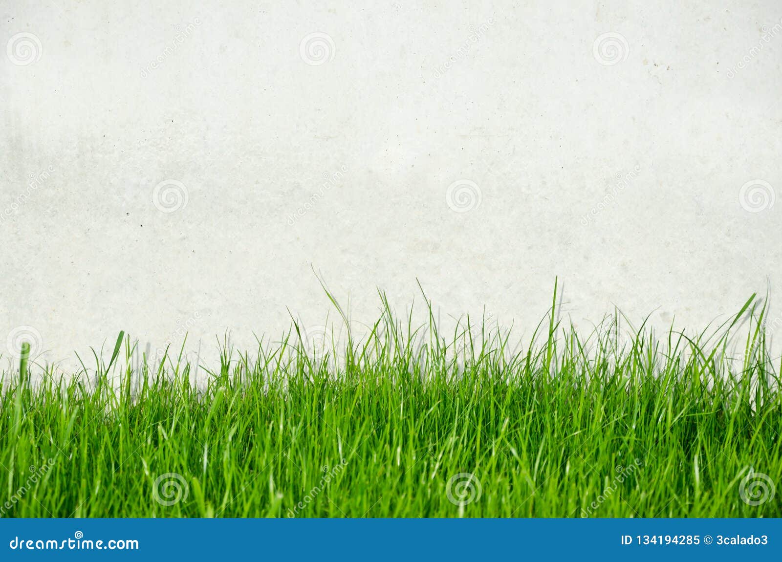 Wall and Green Grass As Background Stock Image - Image of material ...