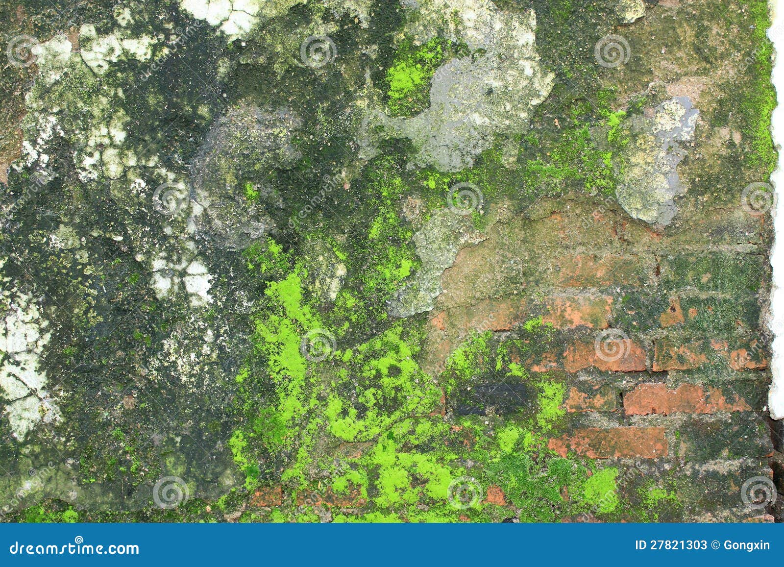 Wall of green moss texture stock image. Image of brick - 27821303