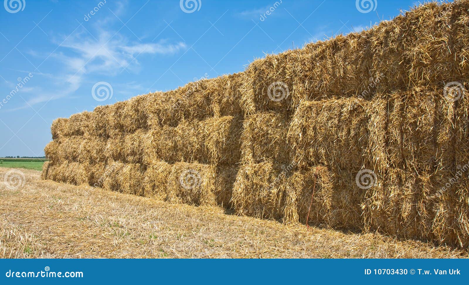 Wall of Hay stock photo. Image of horizon, netherlands - 10703430