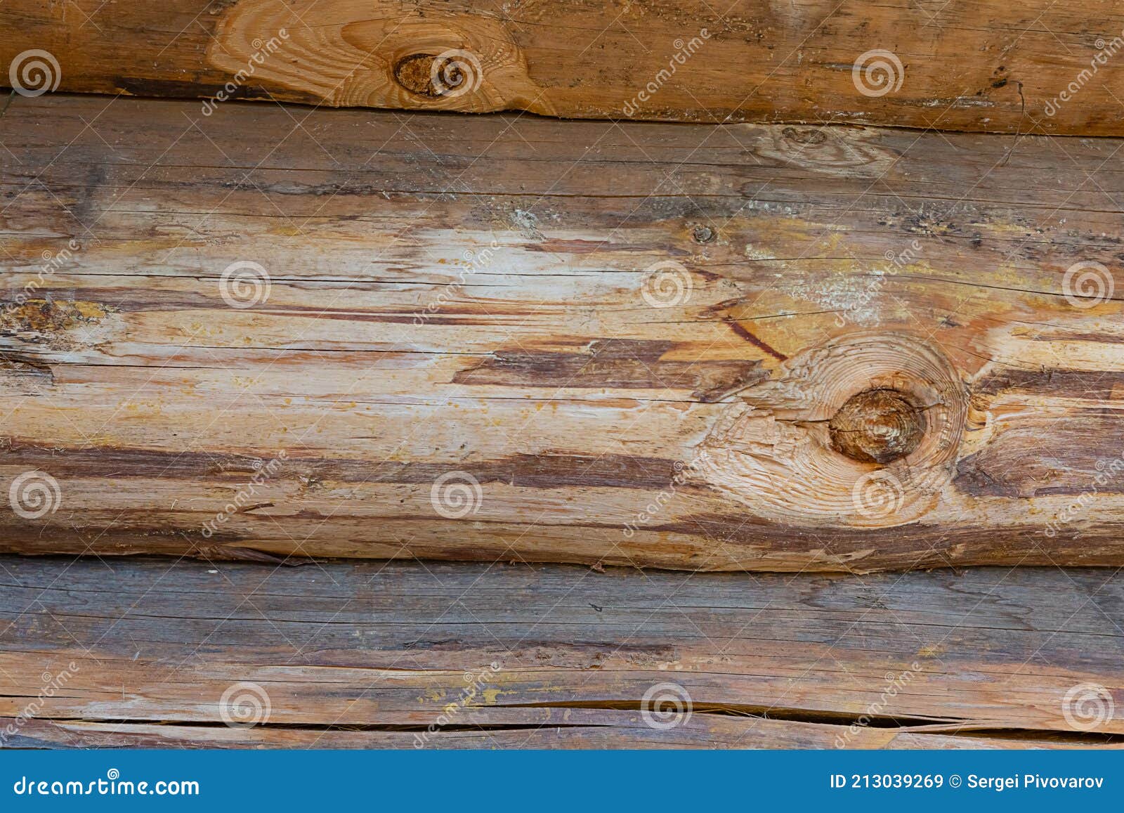 Wall of Horizontal Beige Pine Logs Part of the House Rustic Stock Image ...