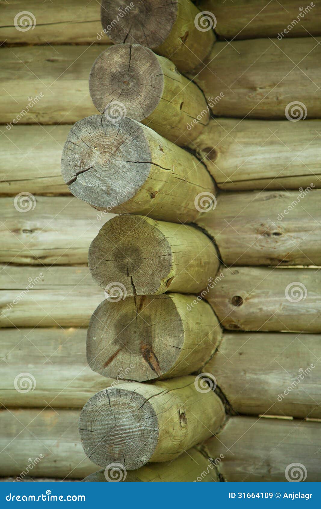 Wall of the House of Wooden Logs. Stock Image - Image of wooden, wall ...