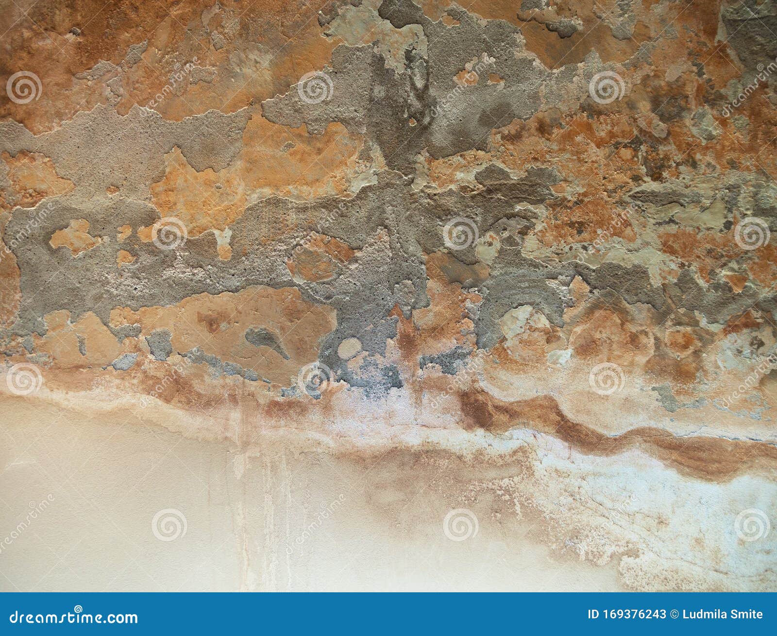 Wall infected with fungus stock image. Image of concrete - 169376243