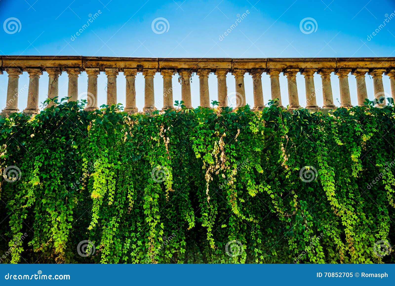 Wall with Ivi and Weathered Historic Balustrade Stock Image - Image of ...