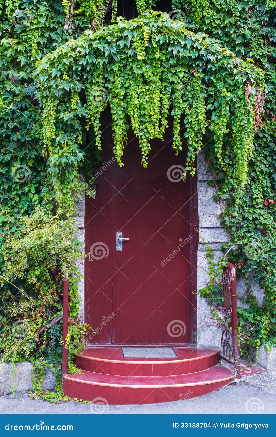 Wall with ivy stock photo. Image of flower, entry, architecture - 33188704