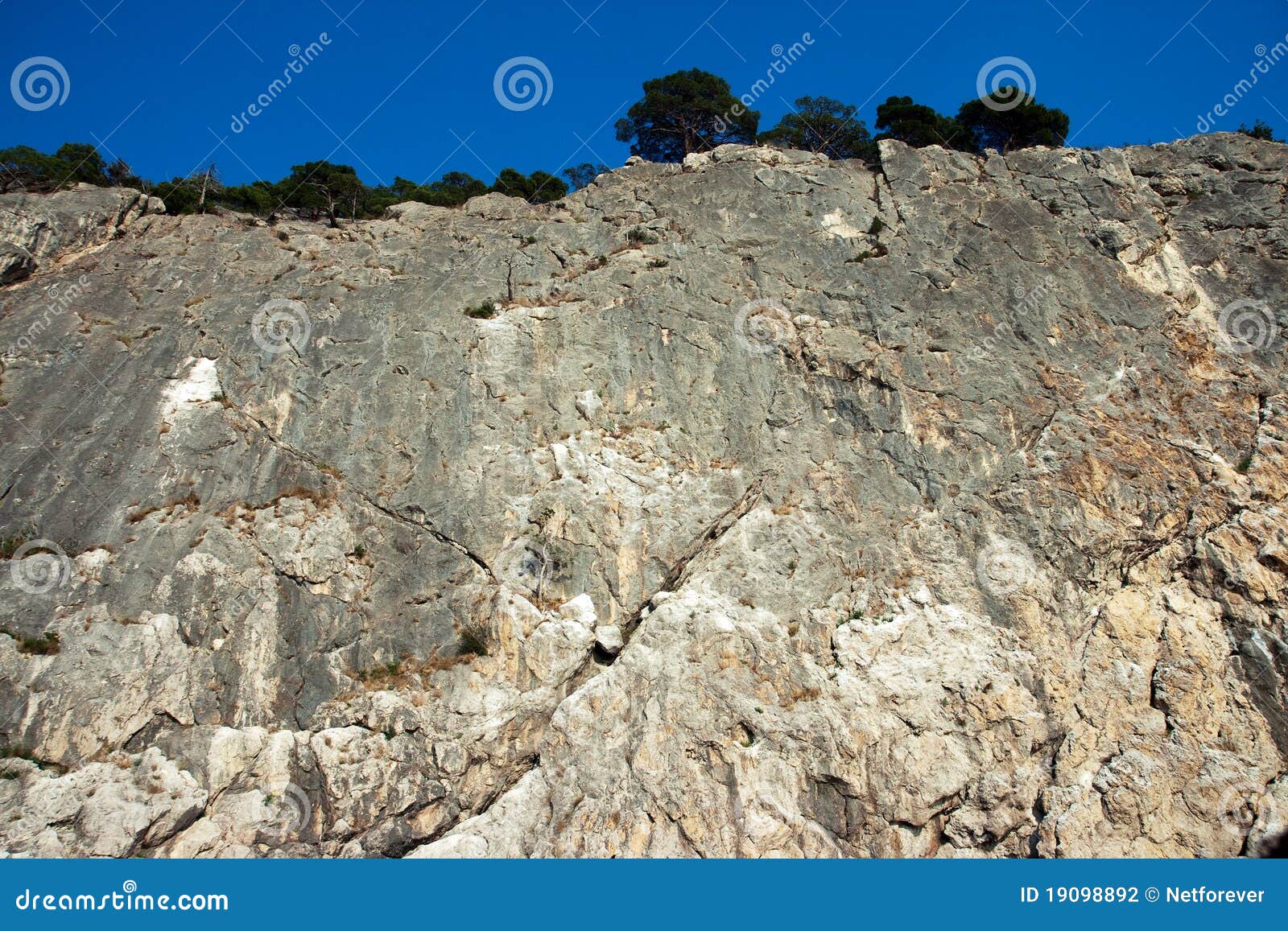 Wall of limestone rocks stock photo. Image of trees, background - 19098892