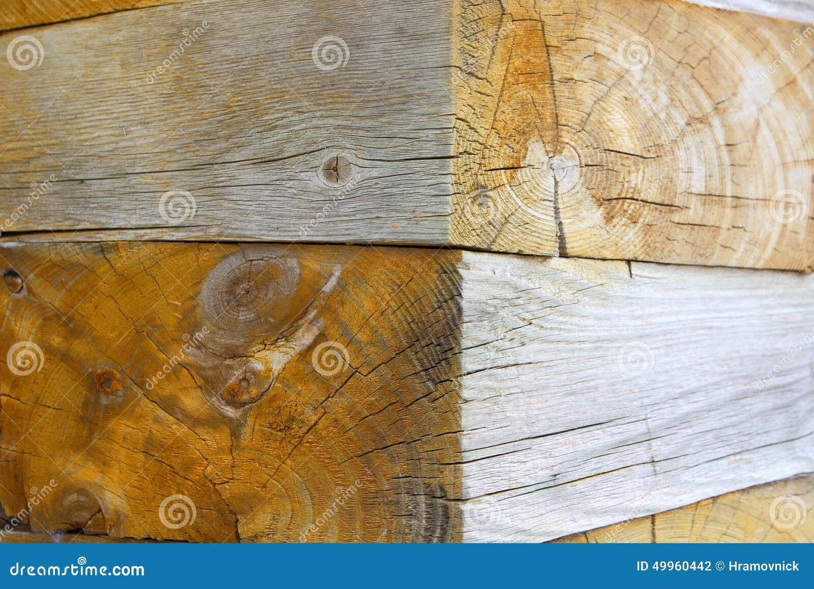Wall of log background. stock photo. Image of detail - 49960442