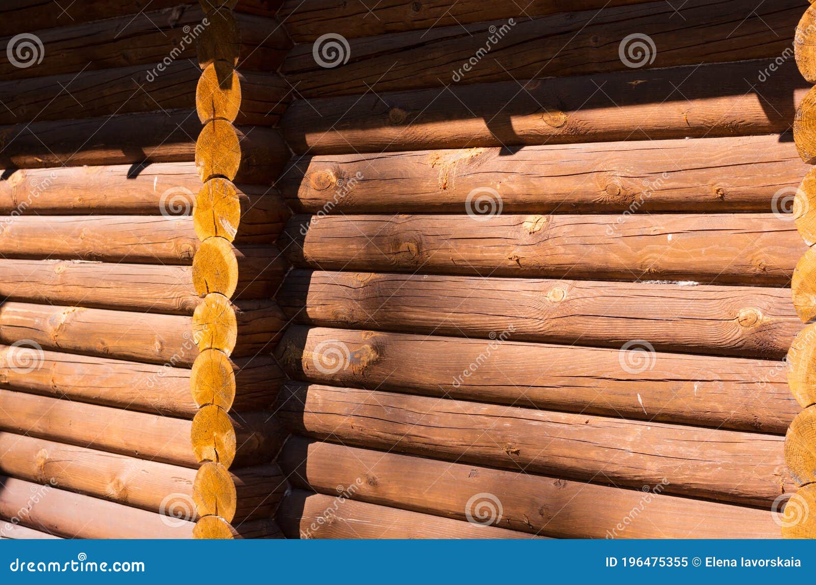 The Wall of a Log House Made of Coniferous Logs, Processed from Pests ...