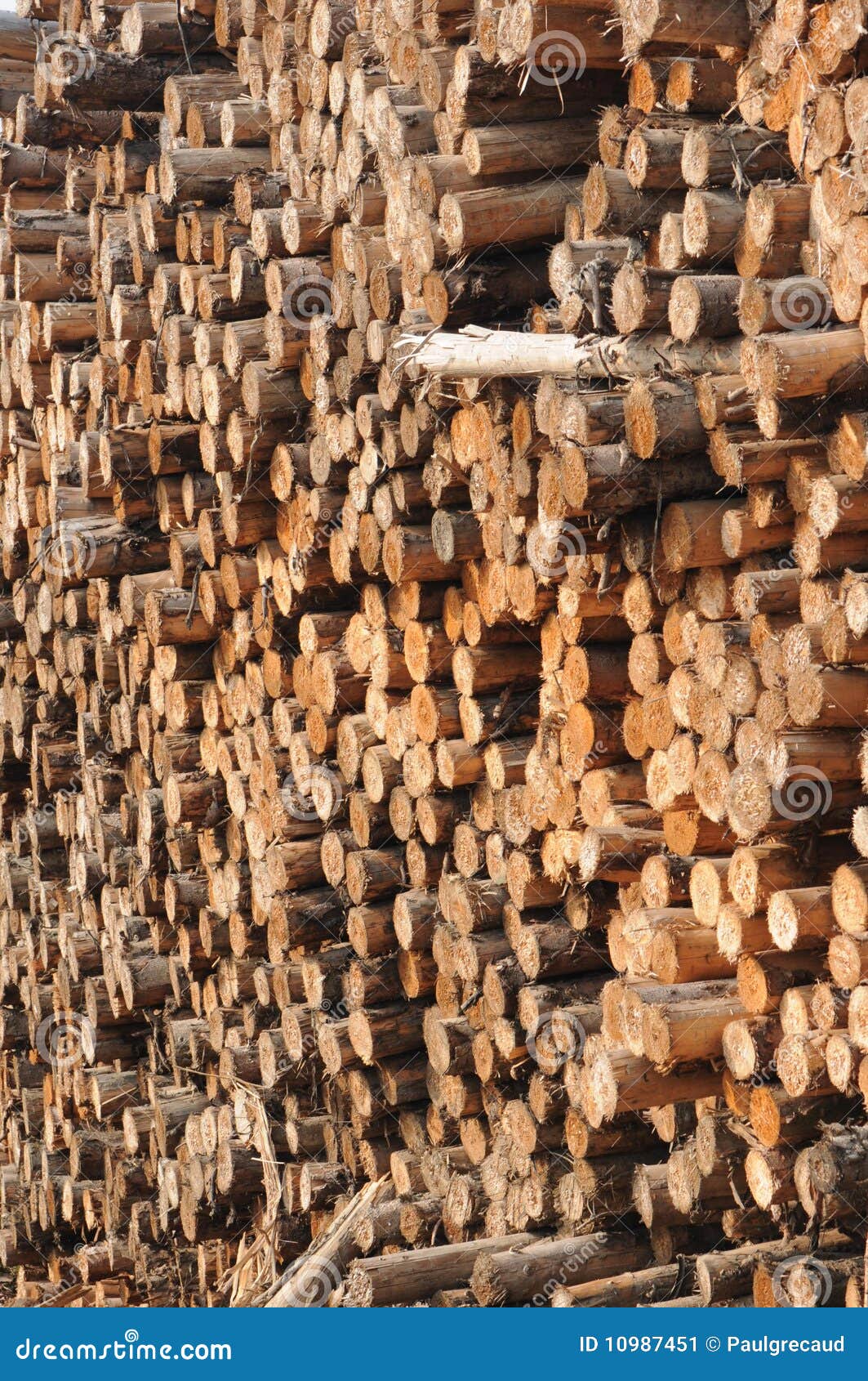Wall of logs stock image. Image of outside, factory, huge - 10987451