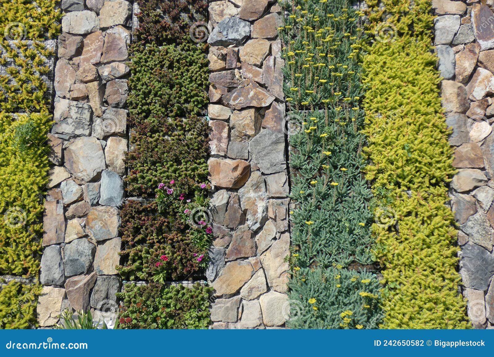 Stone and Greenery Wall stock photo. Image of nature - 242650582