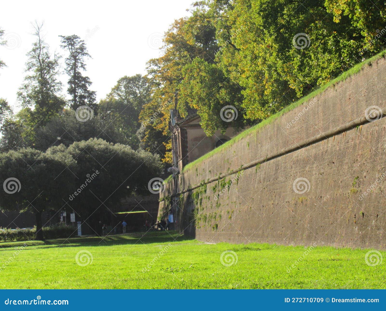 The wall of Lucca. stock image. Image of lawn, shrub - 272710709
