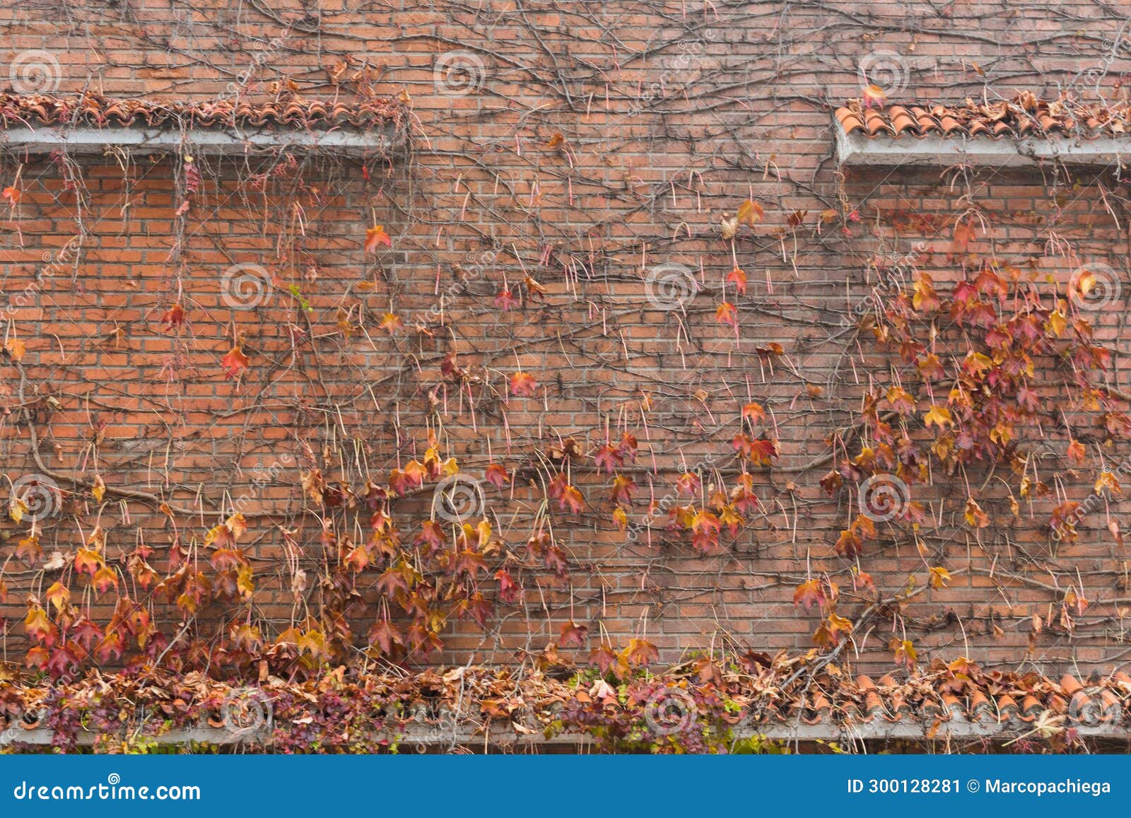 Background Street Patterns in a Urban Environment Stock Image - Image ...