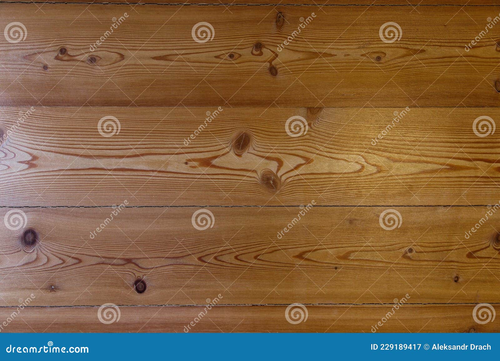The Wall is Made of Larch Planks Covered with a Colorless Varnish Stock ...