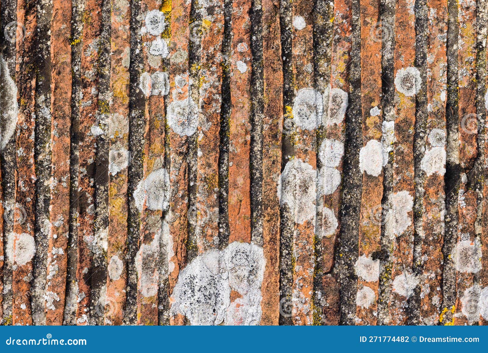 Wall Made of Old Flat Bricks Overgrown with Lichen Stock Photo - Image ...