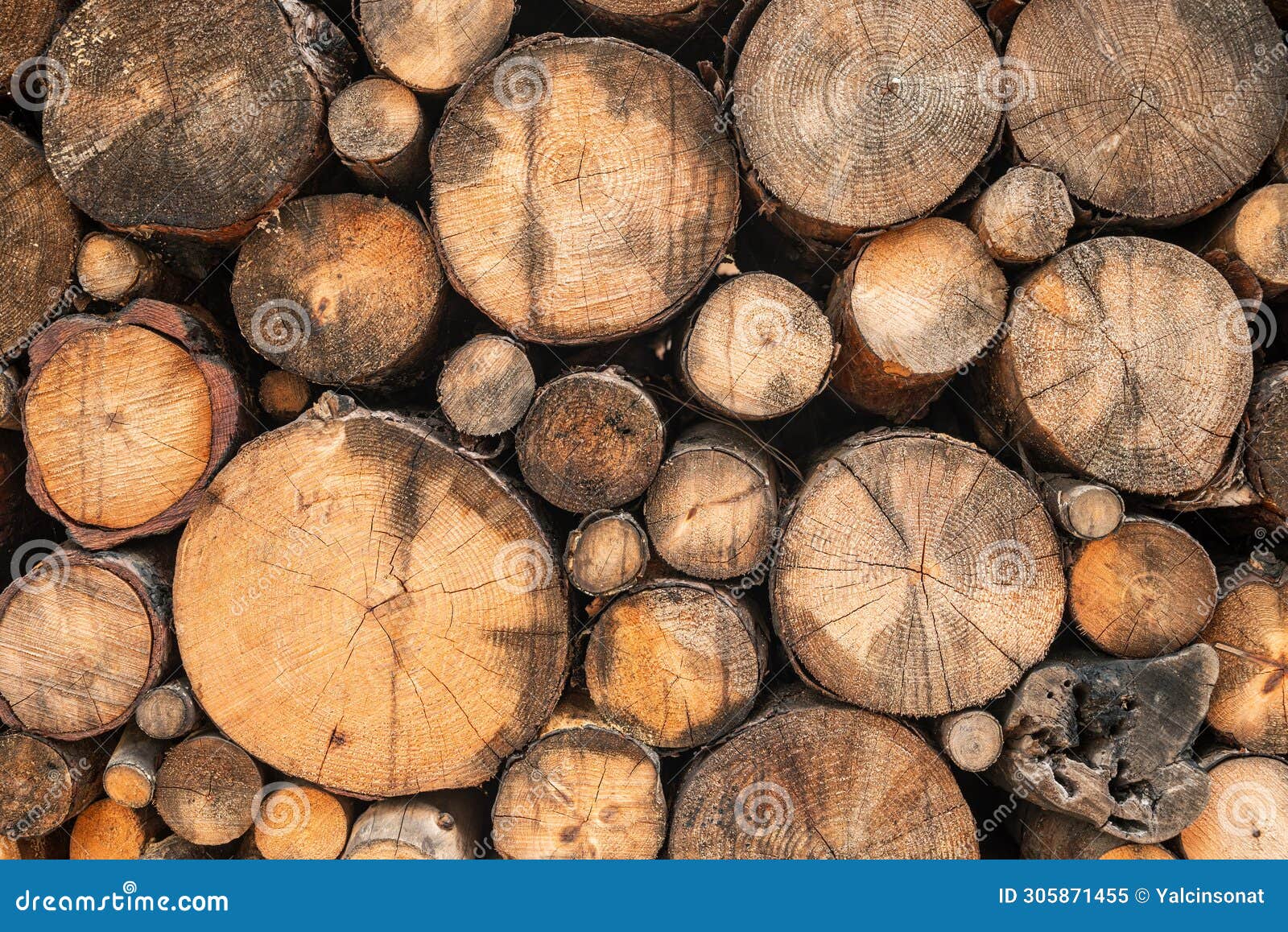 Wall Made with a Pile of Chopped Logs of Different Sizes. Log Pile ...