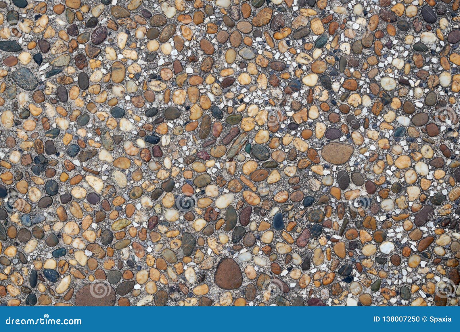 River Pebble Wall Tile Background Natural Texture Cross-section Cut ...