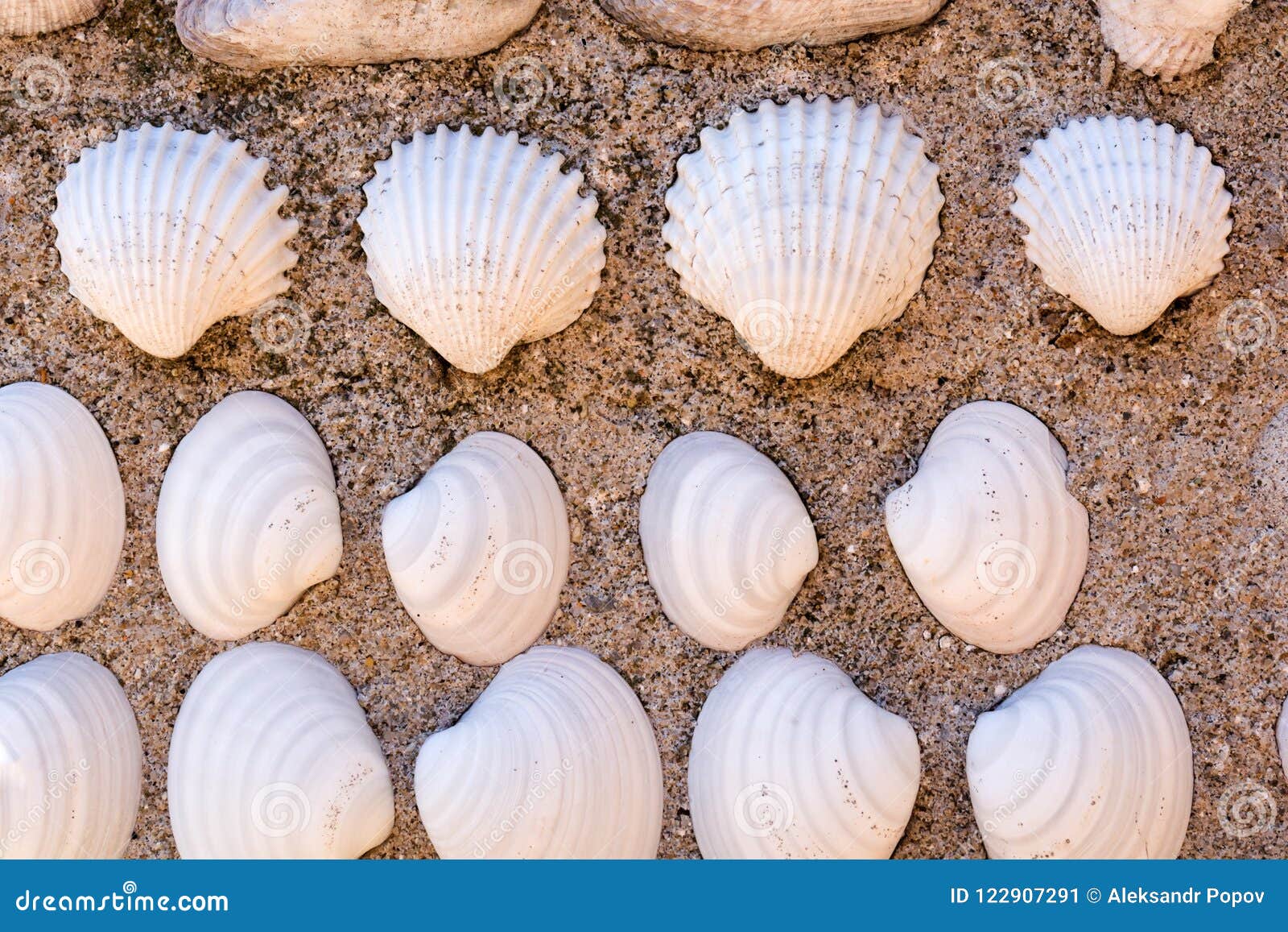 Wall made of sea shells stock image. Image of architecture - 122907291