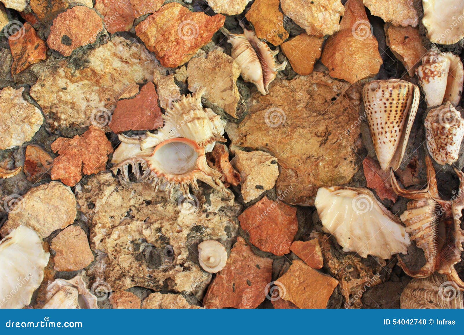 Wall Made of Stones and Sea Shells. Stock Photo - Image of coral ...