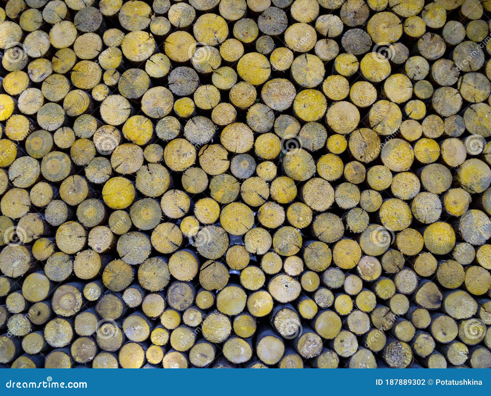 A Wall Made of Thin Round Wooden Logs Stock Photo - Image of rural ...