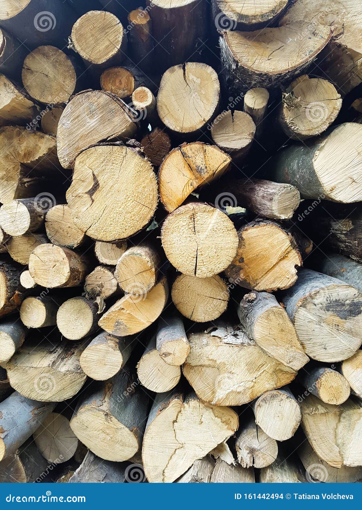 Wall made of tree logs stock photo. Image of logs, natural - 161442494