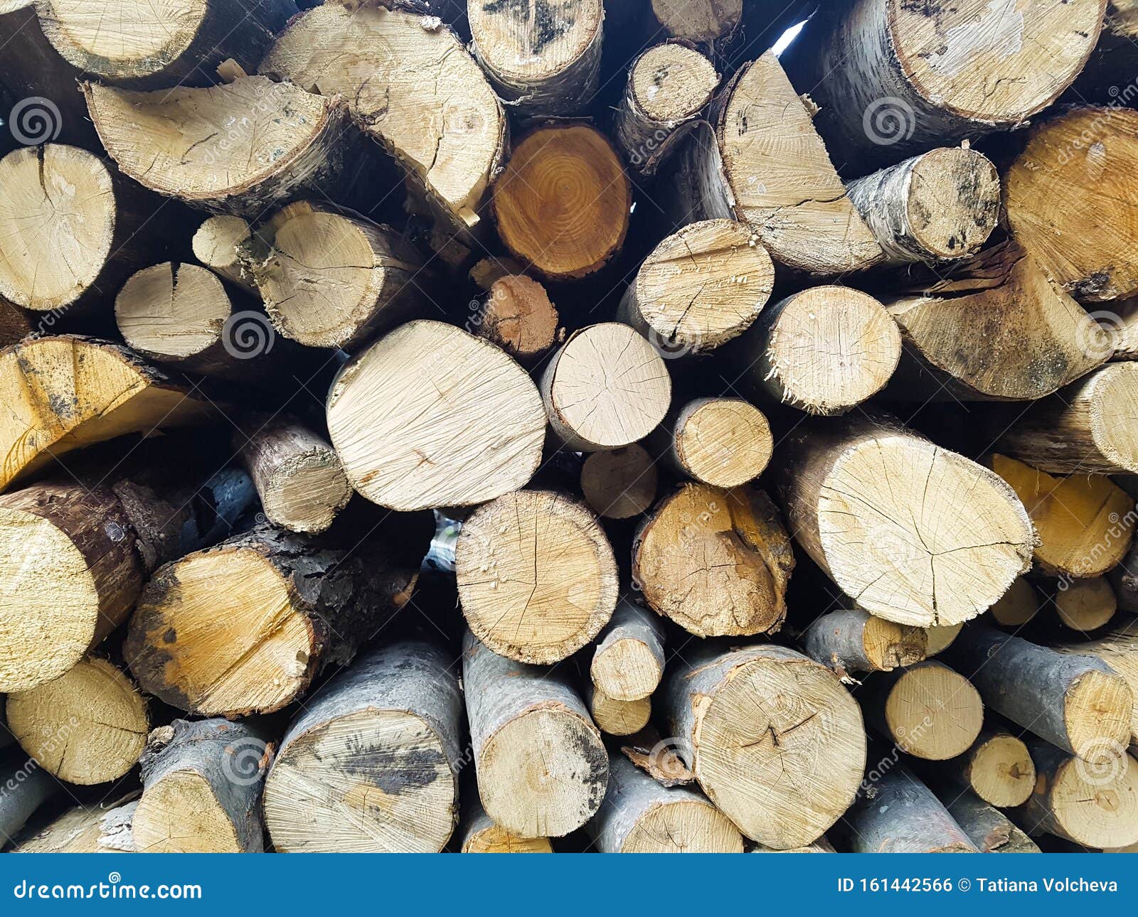 Wall made of tree logs stock photo. Image of background - 161442566