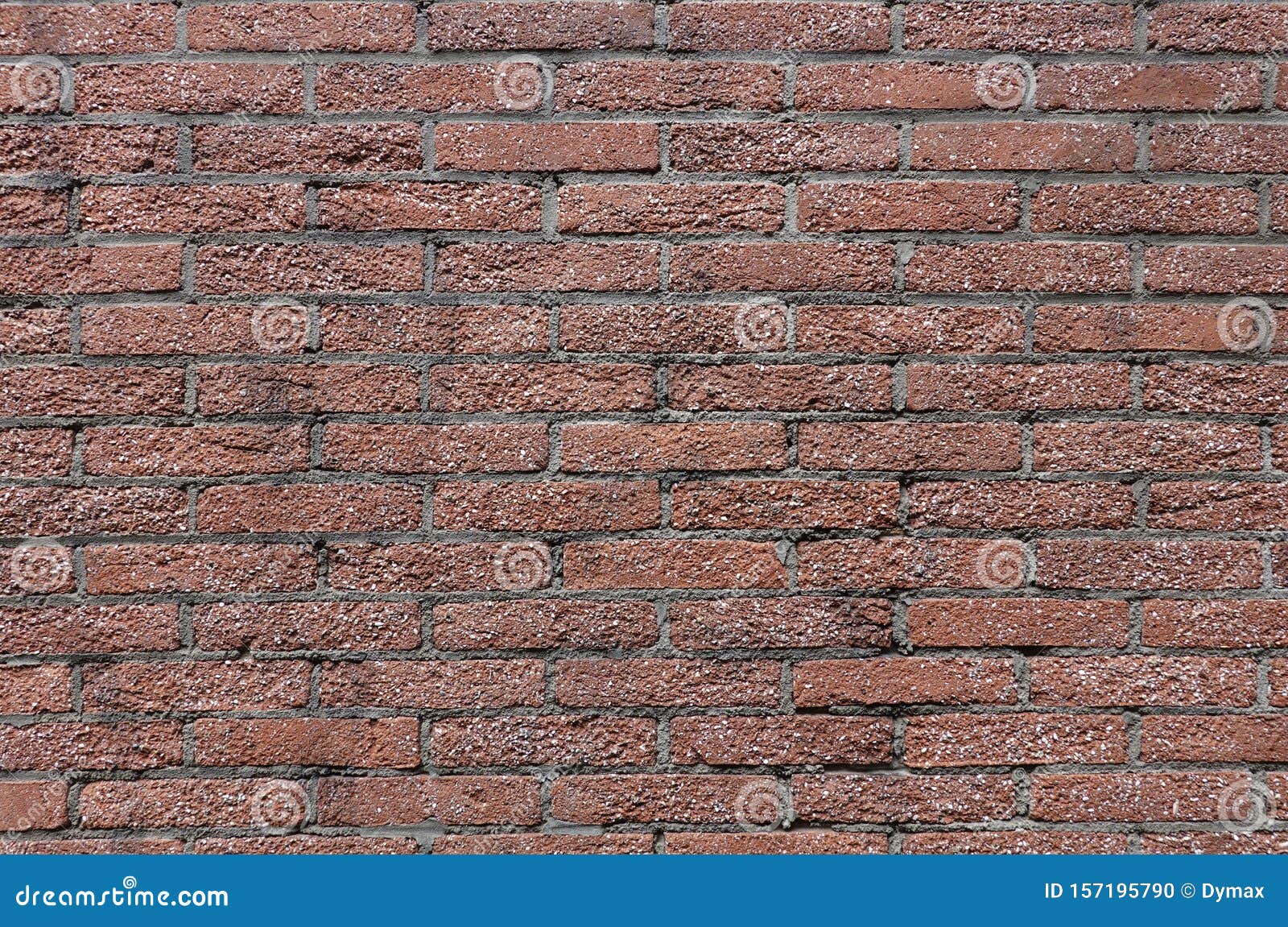 Wall from Many Small Red Bricks As Background Front View Stock Photo ...