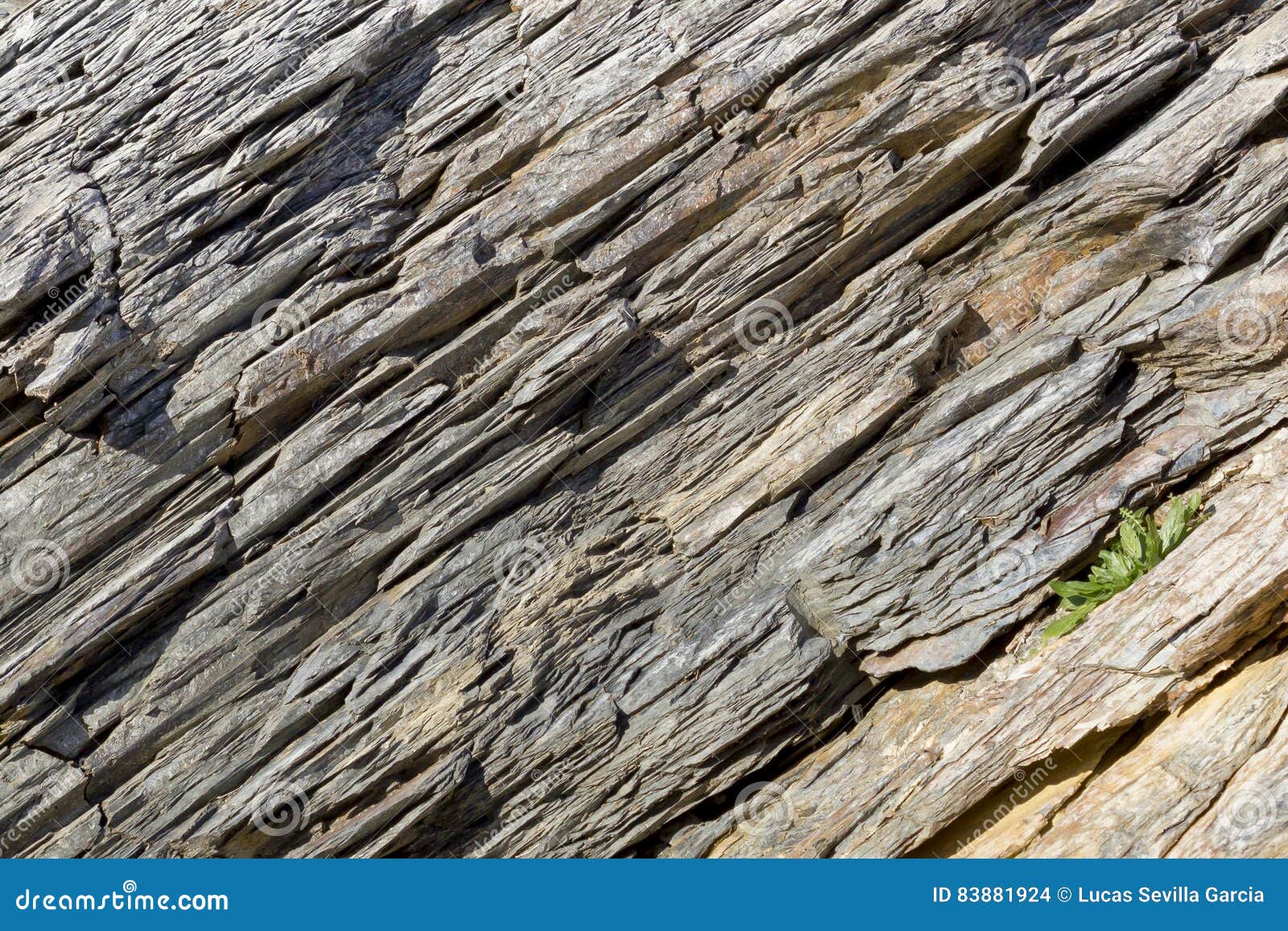 Wall of metamorphic rock stock photo. Image of nature - 83881924
