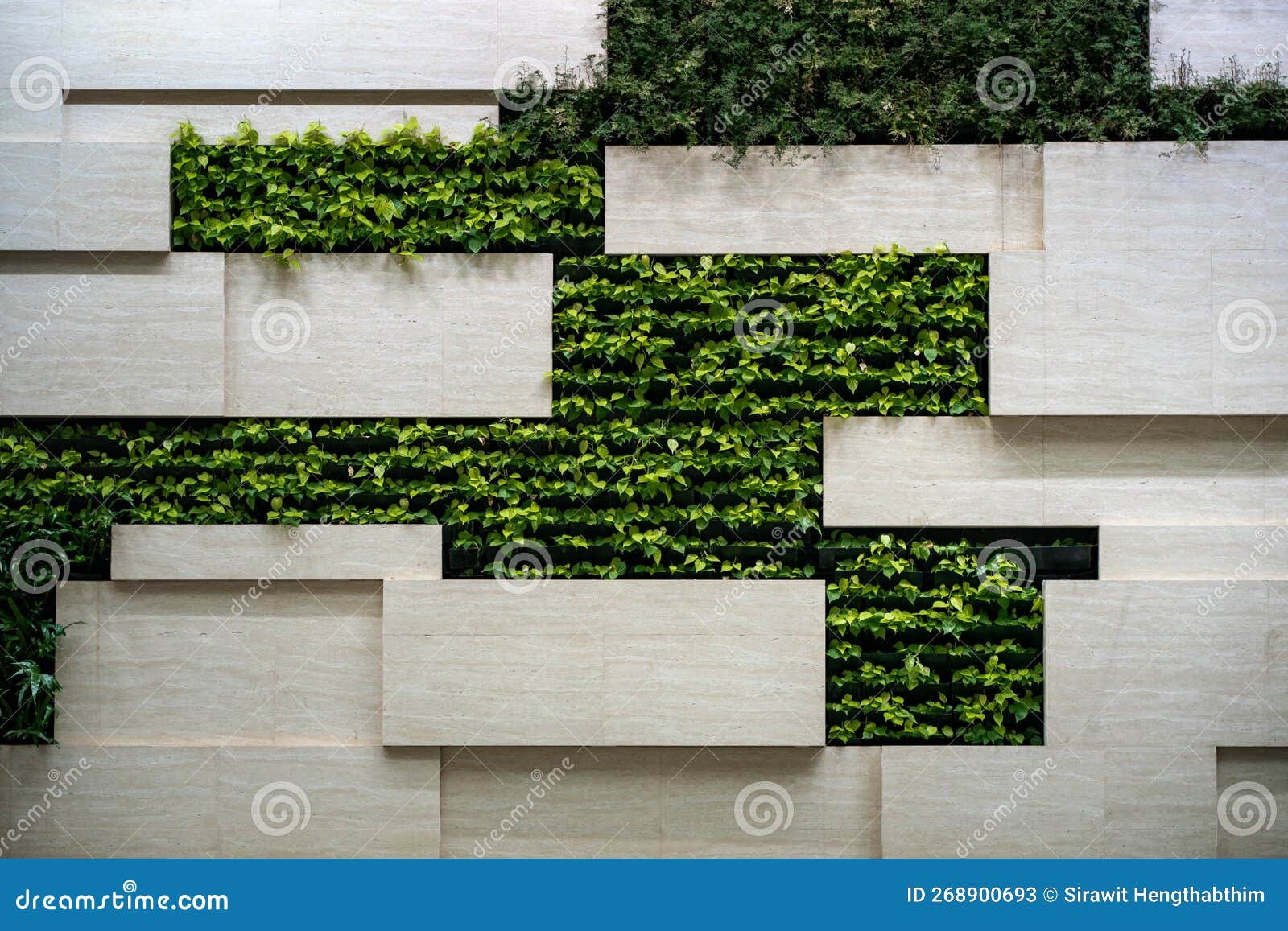 Wall in Modern Interior with Blocks and Vertical Garden Stock Image ...