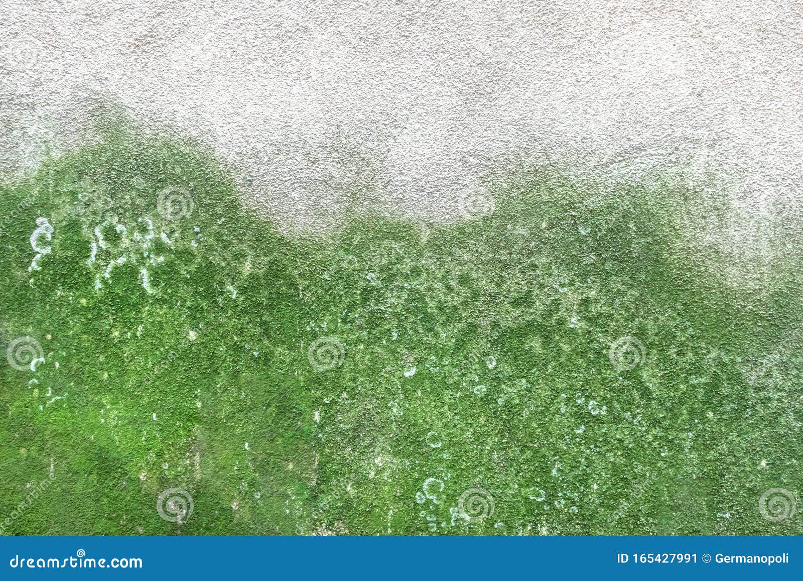 Wall with mold and moss stock image. Image of lichen - 165427991