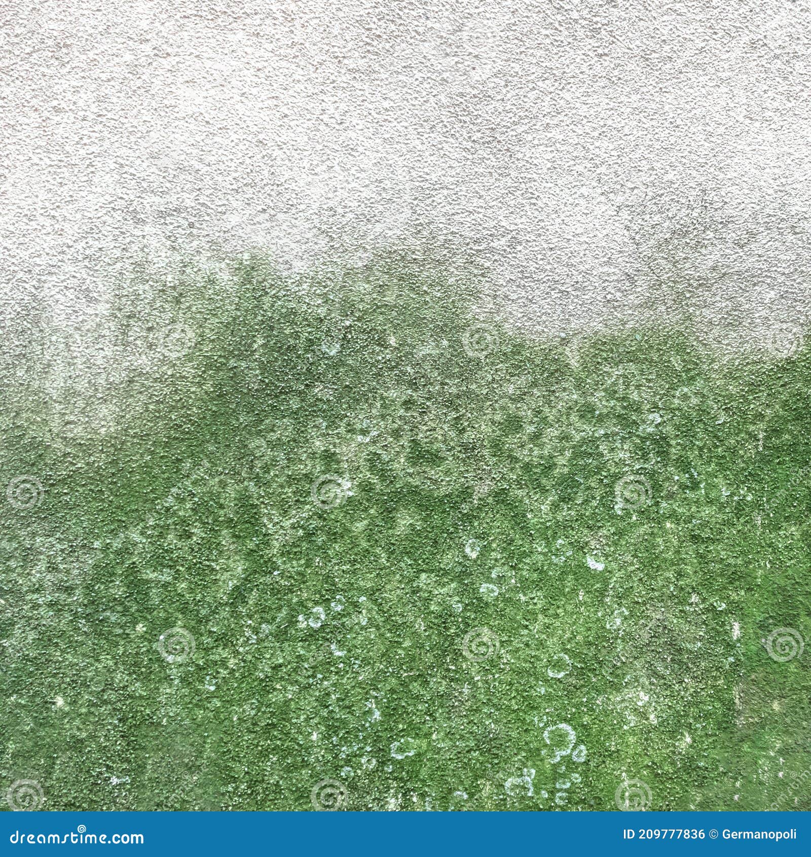 Wall with mold and moss stock photo. Image of backdrop - 209777836